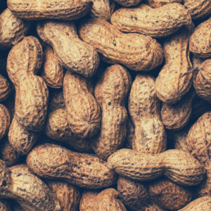 Georgia Fried Peanut Company | Award-Winning Confections!